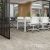 Gravity Collection Carpet Tiles | Victorex Flooring